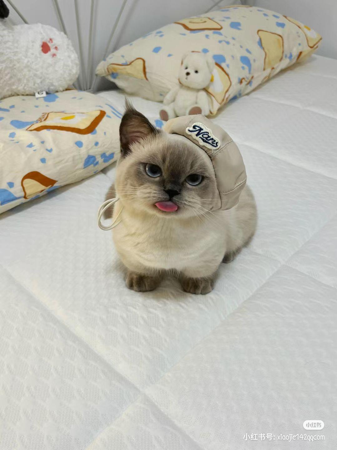 Spigot - Hyperion | SpigotMC - High Performance Minecraft Community