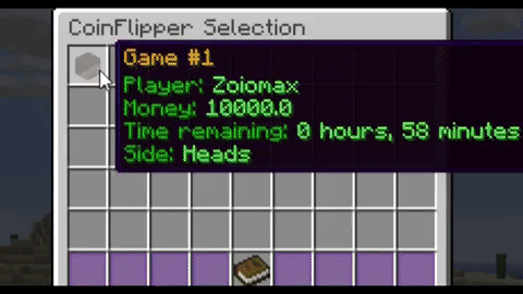 CoinFlipper | SpigotMC - High Performance Minecraft Software