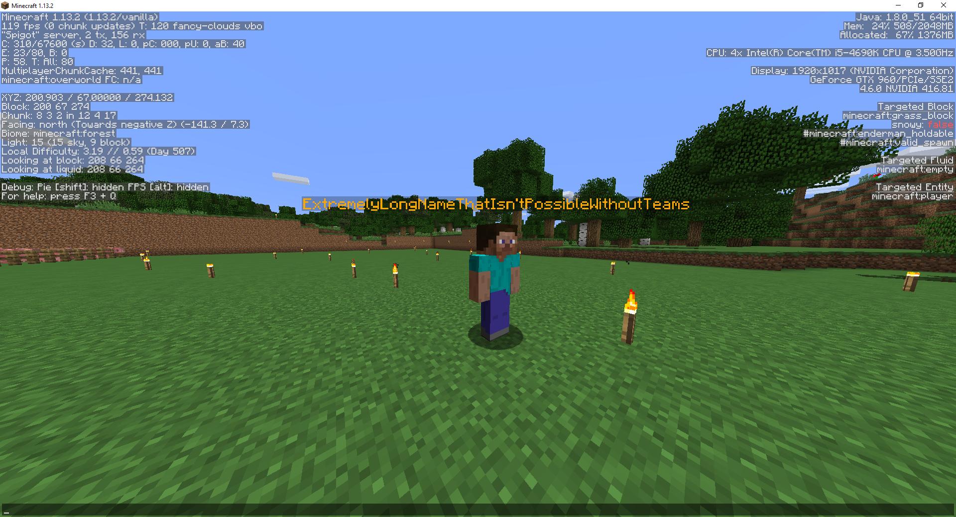 Resource - Create NPC's With long player names (NMS) (minecraft:player ...