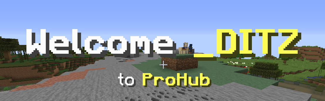ProHub | 1.16 | SpigotMC - High Performance Minecraft Software