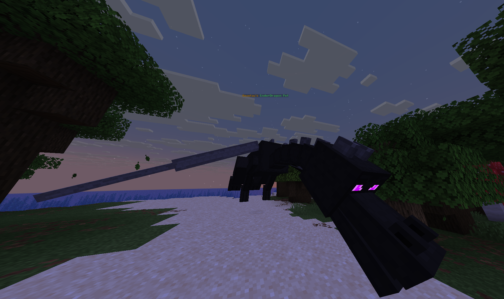 GPet ⭐ Modern & Advanced Pet Plugin - [1.20 - 26.1.2] | SpigotMC - High ...