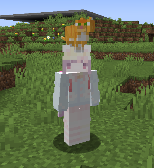 AnimalHeadCarry | SpigotMC - High Performance Minecraft Community