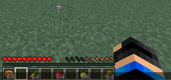 SaturationPreview | SpigotMC - High Performance Minecraft Community