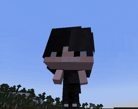 [Items] Custom player heads (2D head, big wearable head) - for ...