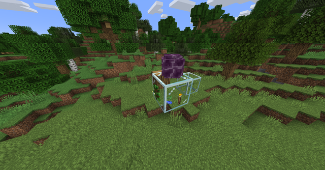 Place Items On Ground [Rebuilt] [1.9 - 1.15] | SpigotMC - High ...