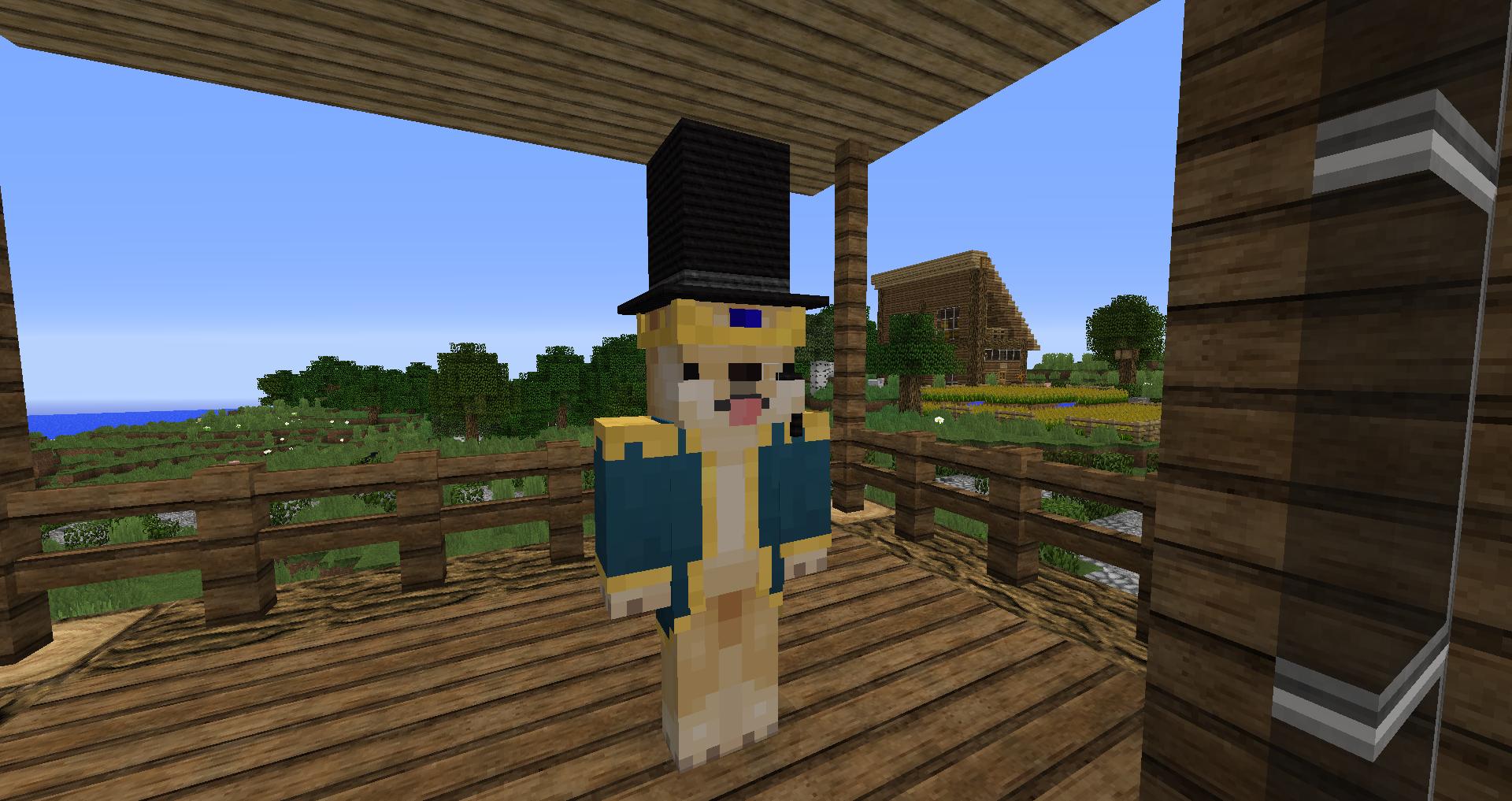 Citizen2 Hat Addon - /npc hat | SpigotMC - High Performance Minecraft Community