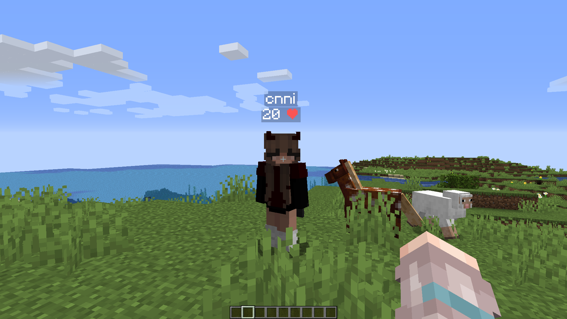 Player Health Bar | SpigotMC - High Performance Minecraft Software