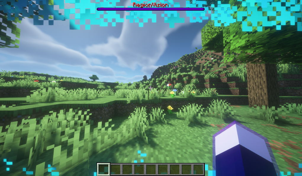 RegionVision { WorldGuard & WorldEdit Visualization } | SpigotMC - High ...