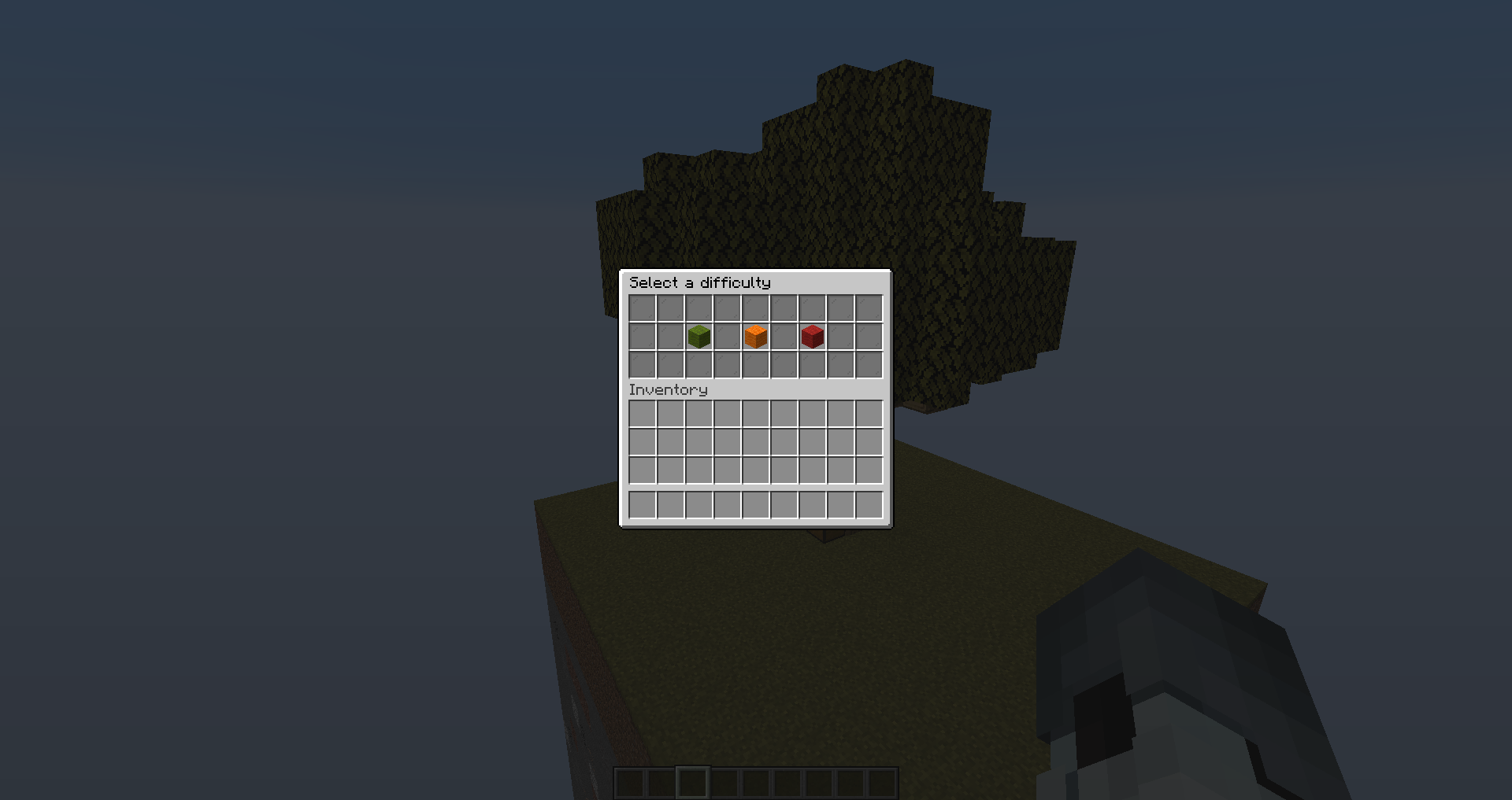 Chunks | SpigotMC - High Performance Minecraft Software