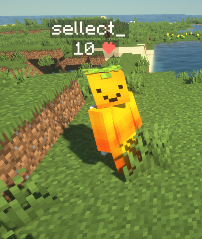 HealthBar | SpigotMC - High Performance Minecraft Community