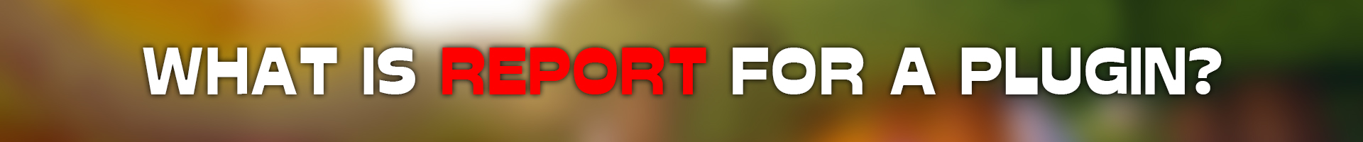 Report | SpigotMC - High Performance Minecraft Community