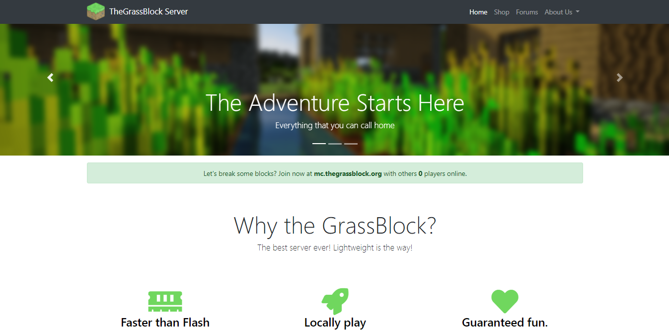 [Website Template] TheGrassBlock Server | SpigotMC - High Performance ...